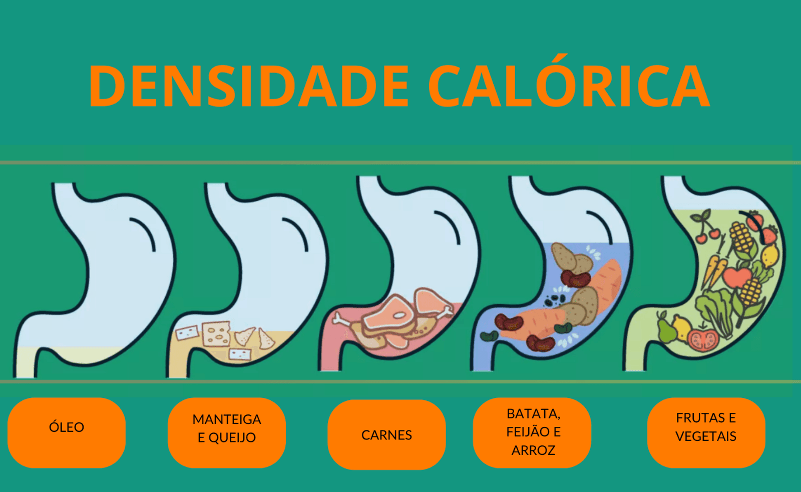 Emagreça com a Dieta da Densidade Calórica | Nutricionista Christine ...